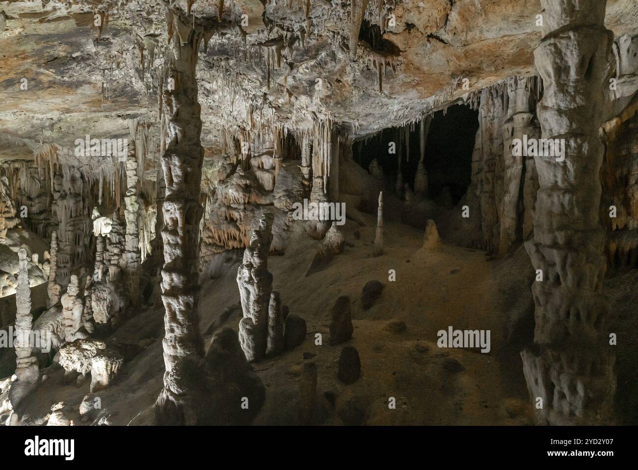 Campanet, Espagne, 27 janvier 2024 : vue détaillée des formations ...