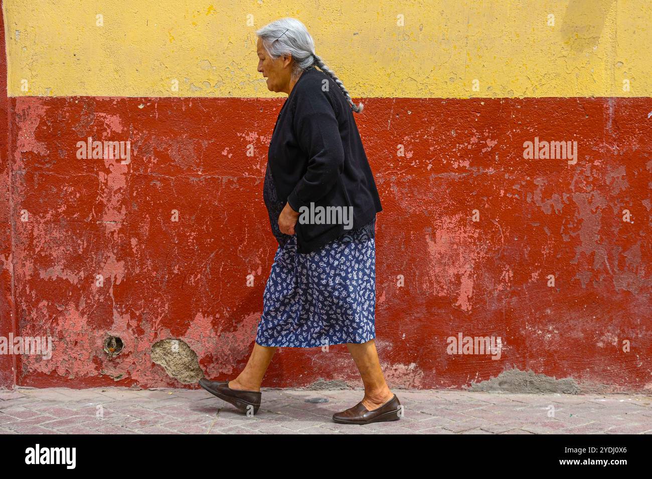 Venado, San Luis Potosí, Mexique. Façade d'entrée de la municipalité ou ...