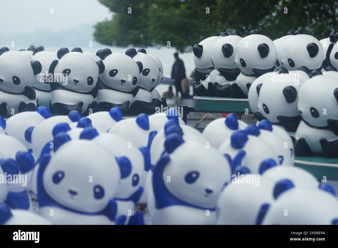 HANGZHOU, CHINE - 28 OCTOBRE 2024 - les visiteurs regardent une ...