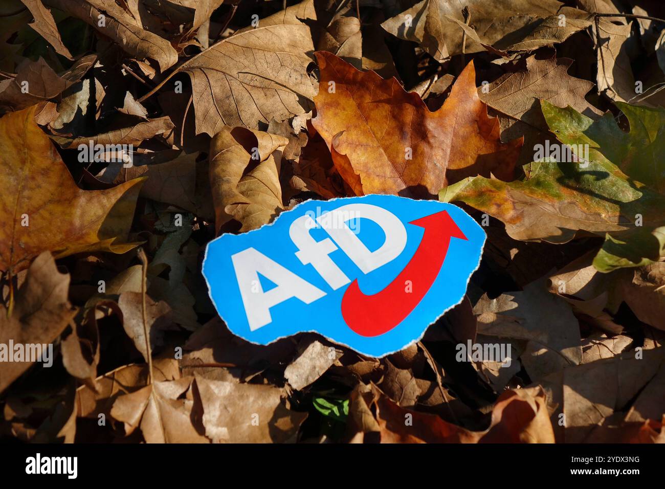 AFD-logo im Herbstlaub AFD-logo im Herbstlaub, 24.10.2024, Borkwalde ...