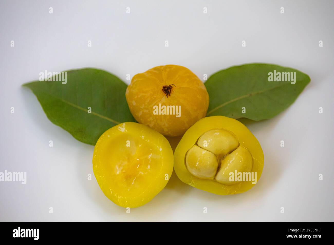 Fruit sauvage comestible mûr du biome cerrado brésilien, fruit connu ...