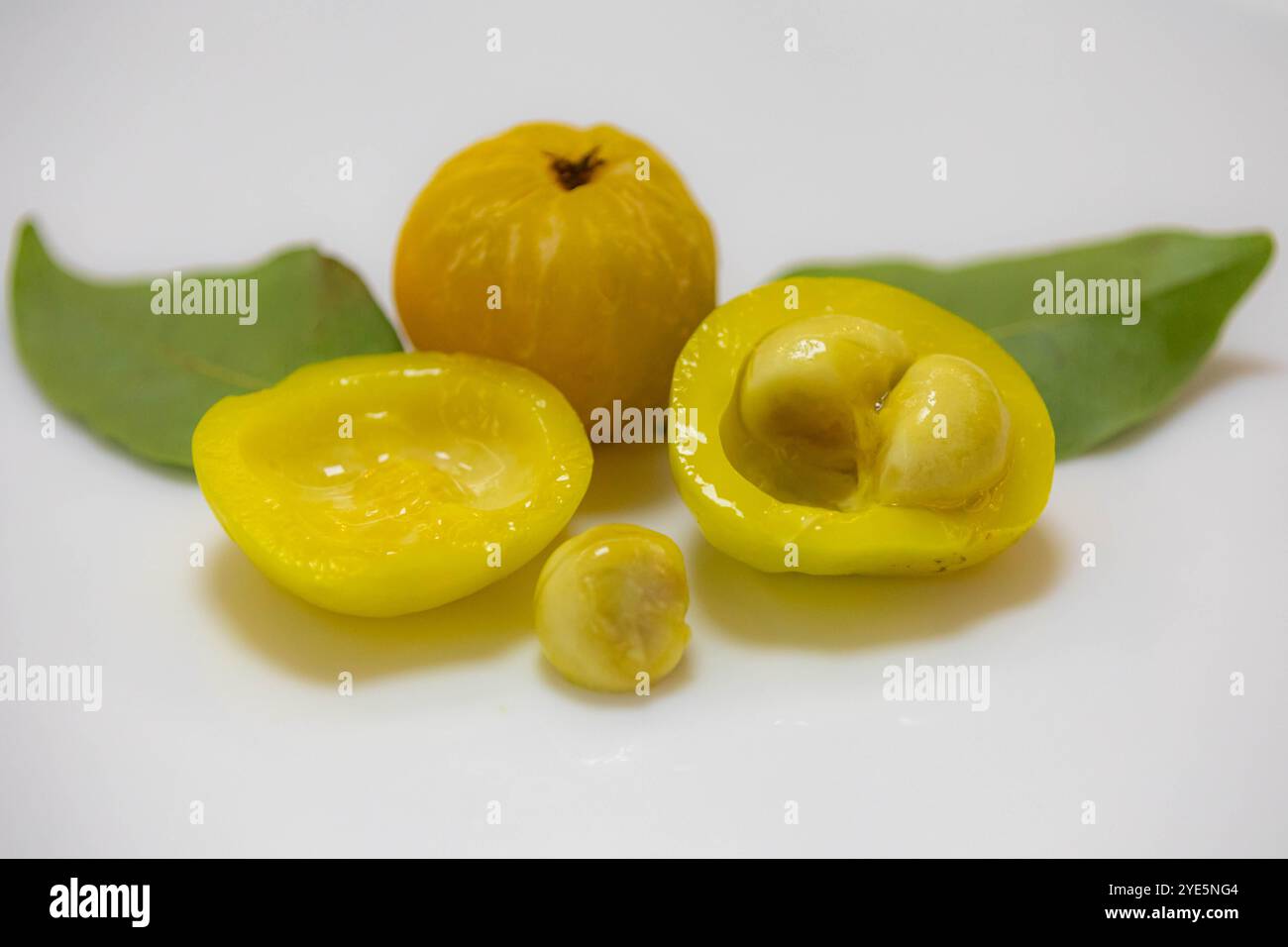 Fruit sauvage comestible mûr du biome cerrado brésilien, fruit connu ...