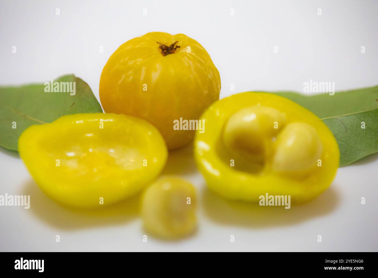 Fruit sauvage comestible mûr du biome cerrado brésilien, fruit connu ...