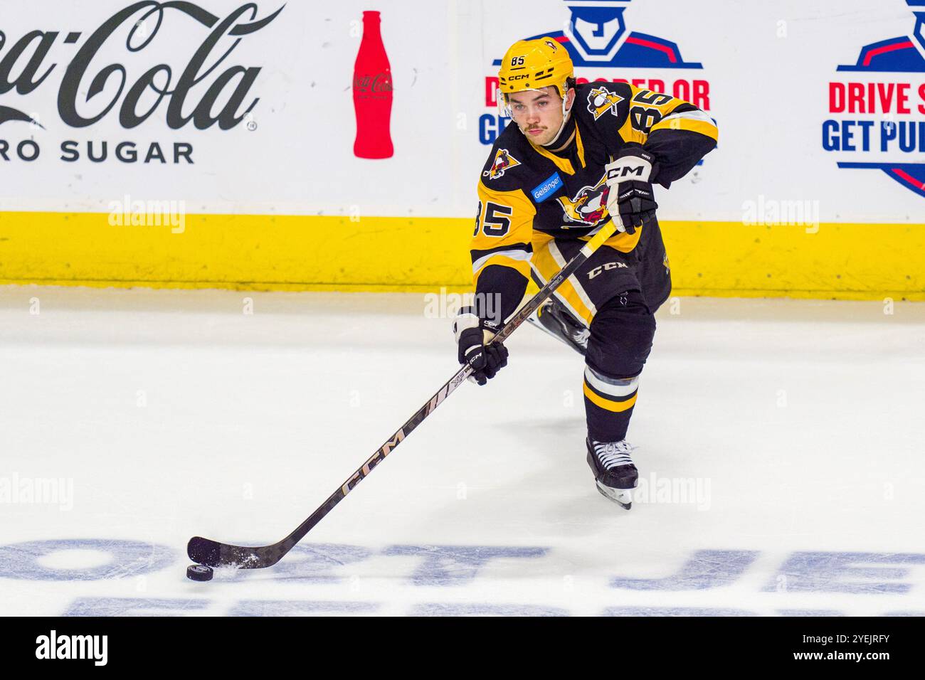 Avery hayes Banque de photographies et d’images à haute résolution - Alamy