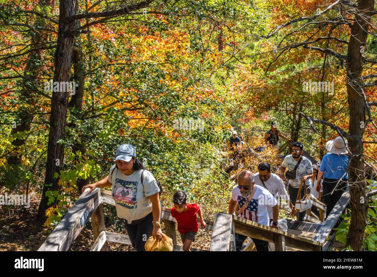 Escaliers du sentier des gorges de tallulah Banque de photographies et ...