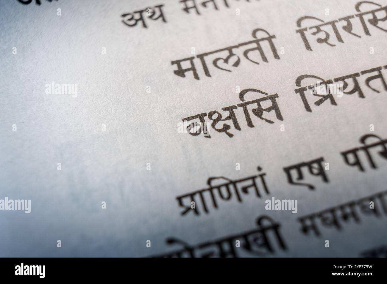 Devanagari script Banque de photographies et d’images à haute ...