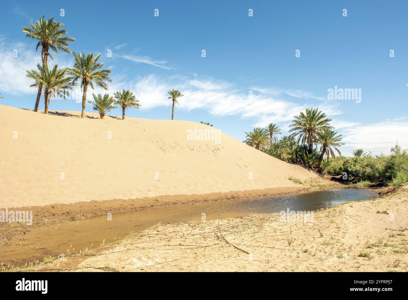 Oasis du sahara maroc Banque de photographies et d’images à haute ...