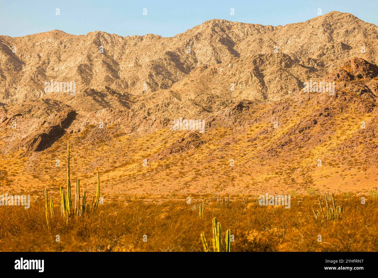 Désert de Sonora, réserve de biosphère El Pinacate et désert du Grand ...