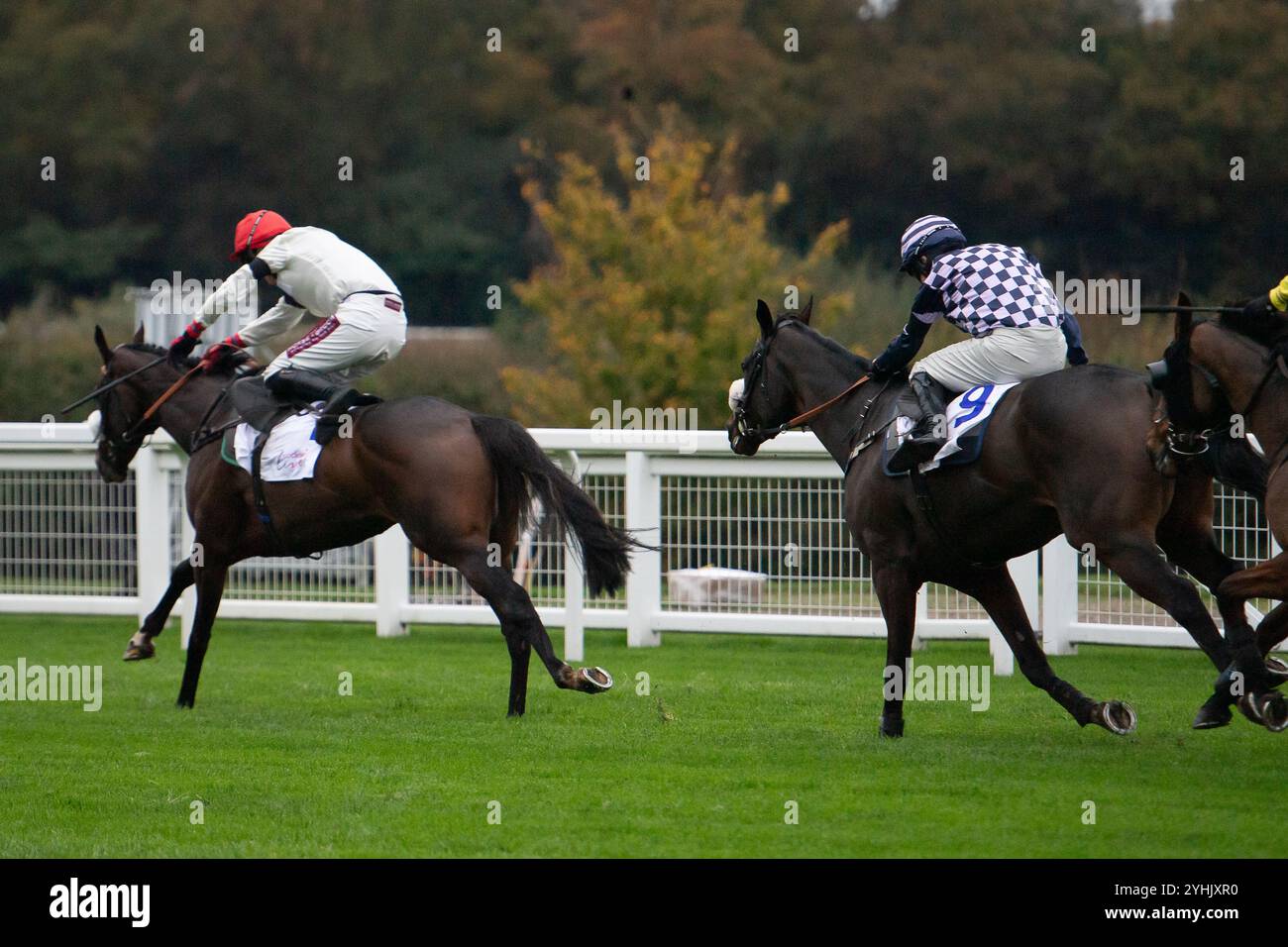 Ascot, Berkshire, Royaume-Uni. 2 novembre 2024. CHIANTI CLASSICO piloté ...