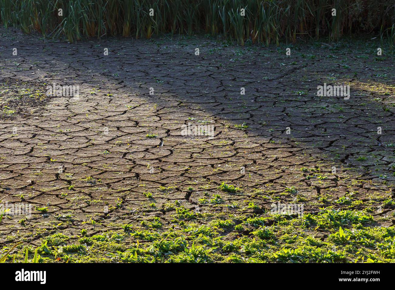 Sécheresse. Sol fissuré au fond d'un réservoir asséché. L'eau s'est ...