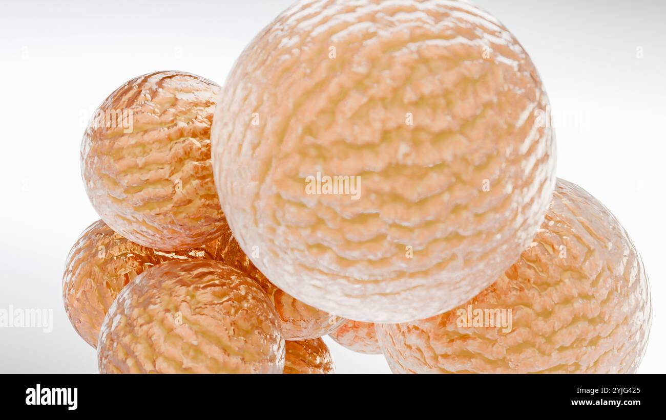 Cellules adipeuses isolées, adipocyte blanc et lipocyte, cholestérol ...