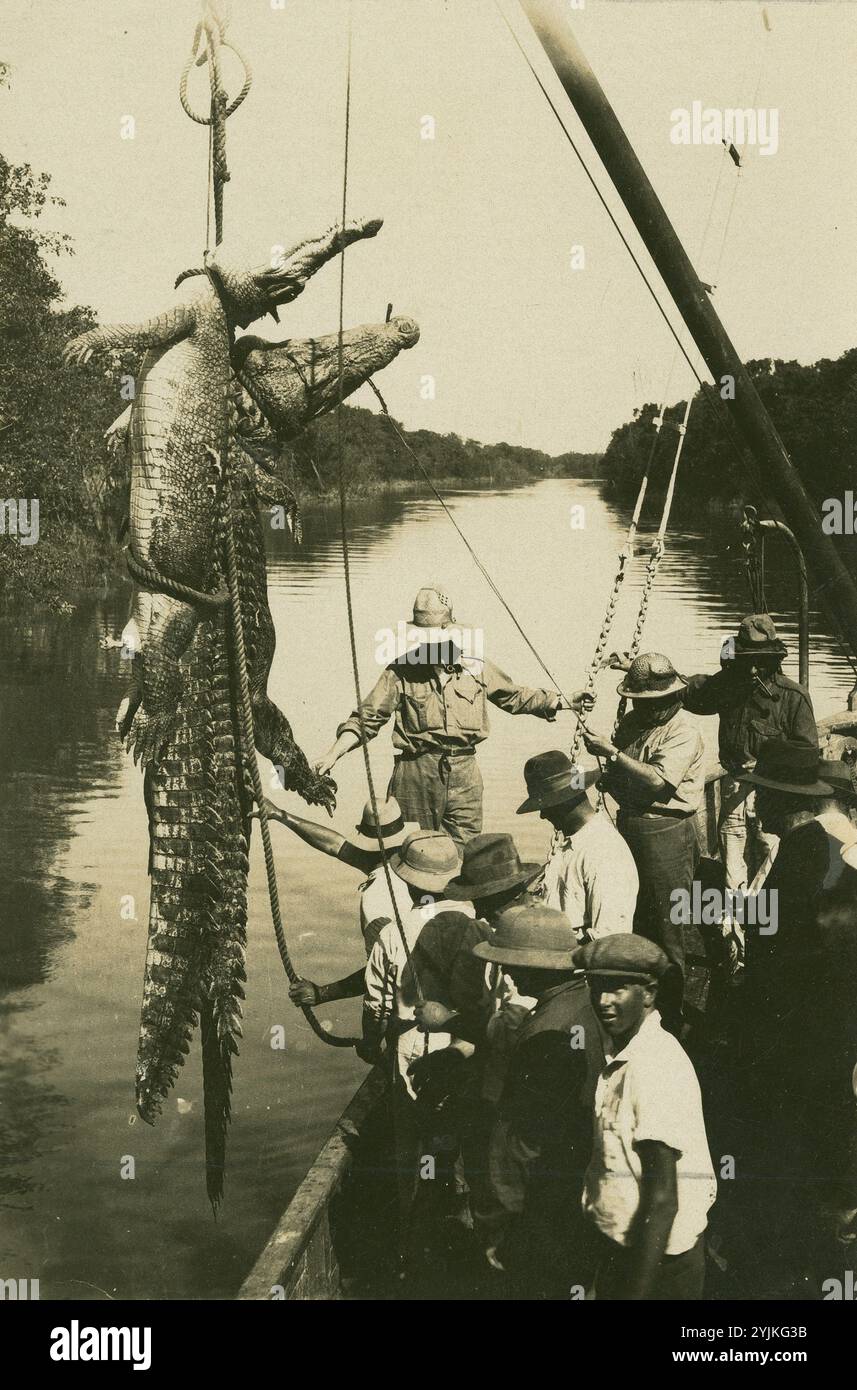Chasse au crocodile dans le territoire du Nord, treuillage de deux gros ...