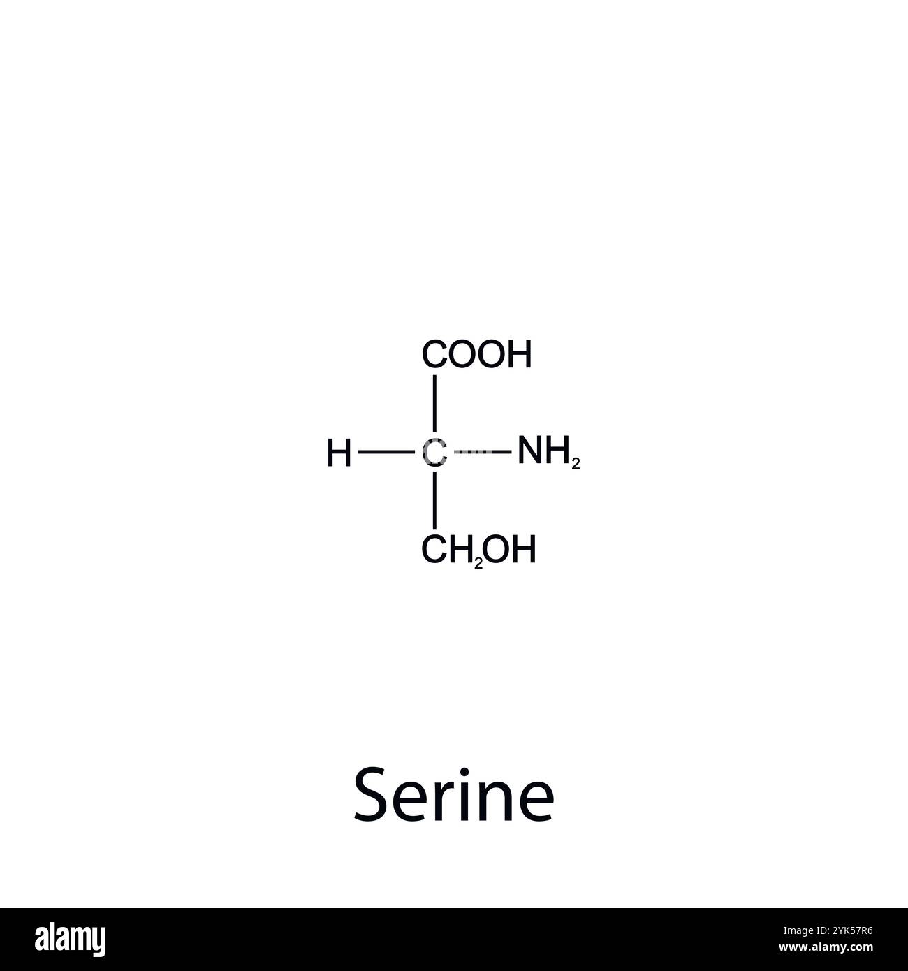 Formule moléculaire chimique sérine Banque d'images vectorielles - Alamy