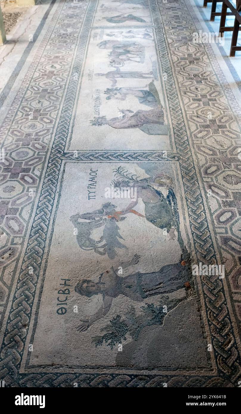 Maison de Dionysos, Paphos : salle 16 : mosaïque de quatre panneaux ...