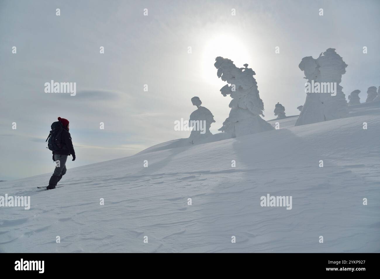 Monstres de neige mont zao japon Banque de photographies et d’images à ...