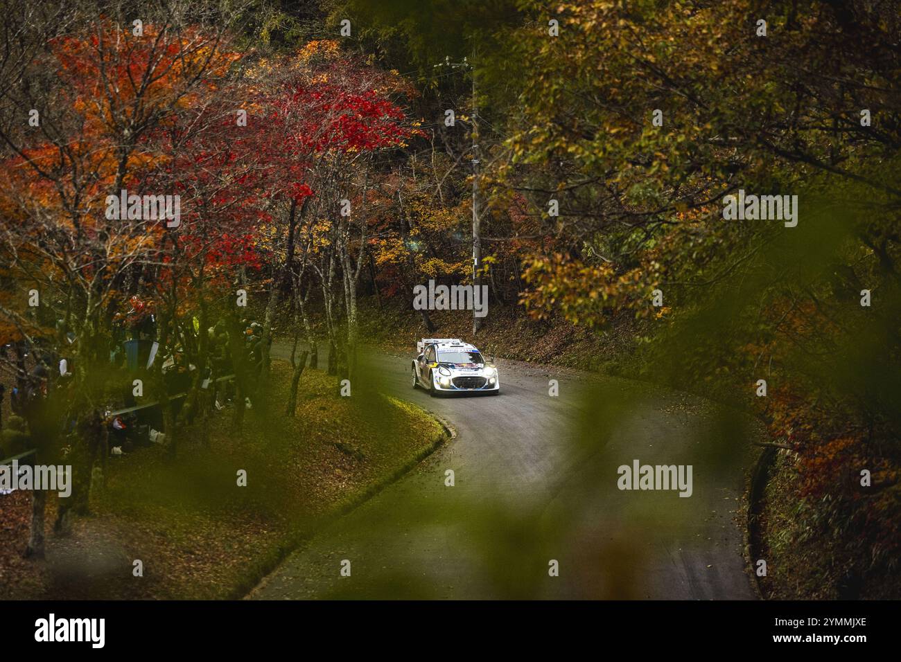 13 MUNSTER Gregoire, LOUKA Louis, Ford Puma Rally1, action lors du ...