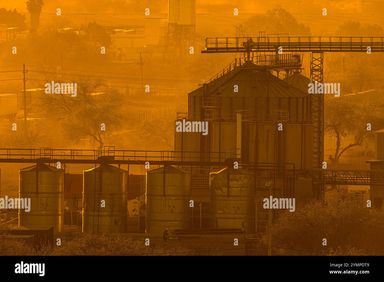 Conteneurs au coucher du soleil du Groupe Selecta pour la production ...