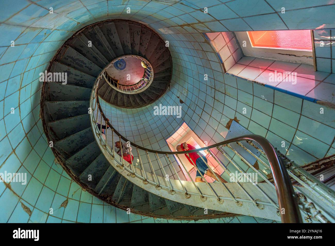 France, Charente-maritime, la Côte sauvage, la pointe de la Coubre, la ...