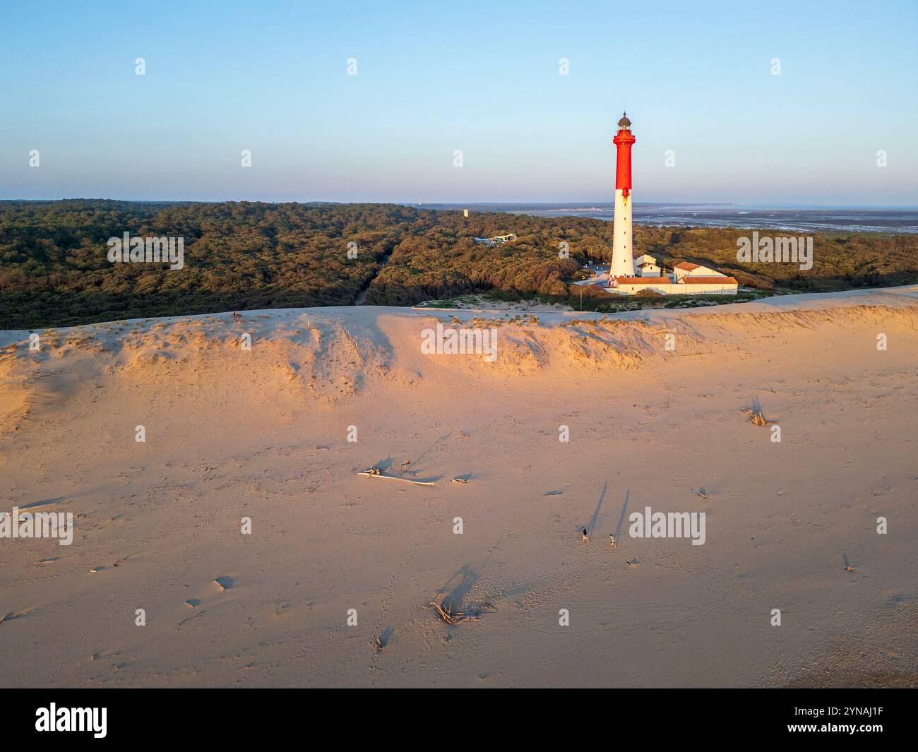 France, Charente-maritime, la Côte sauvage, la pointe de la Coubre, la ...
