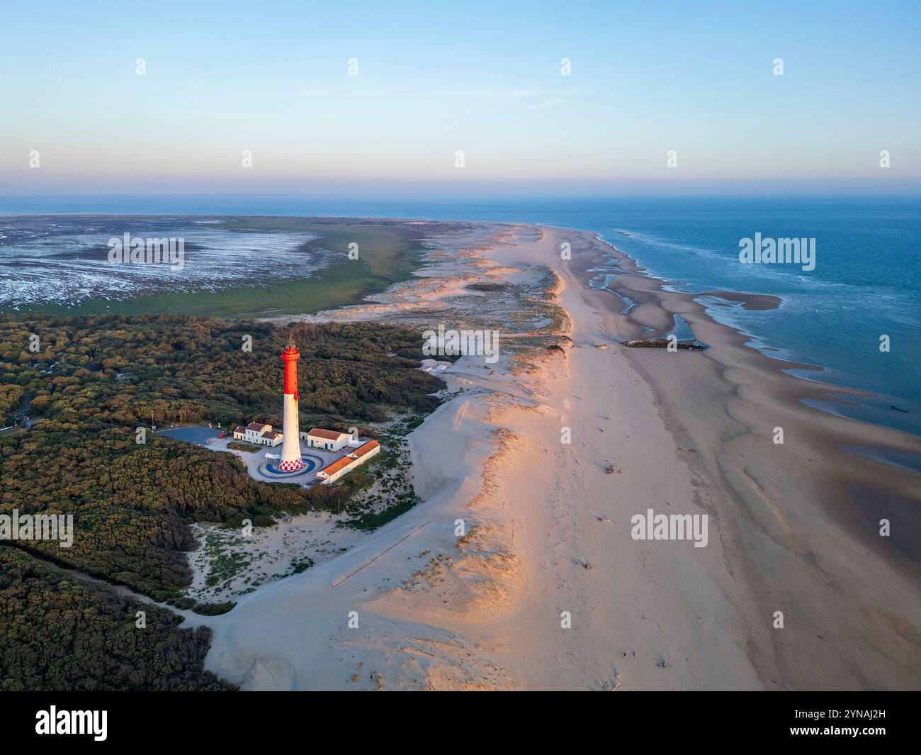 France, Charente-maritime, la Côte sauvage, la pointe de la Coubre, la ...