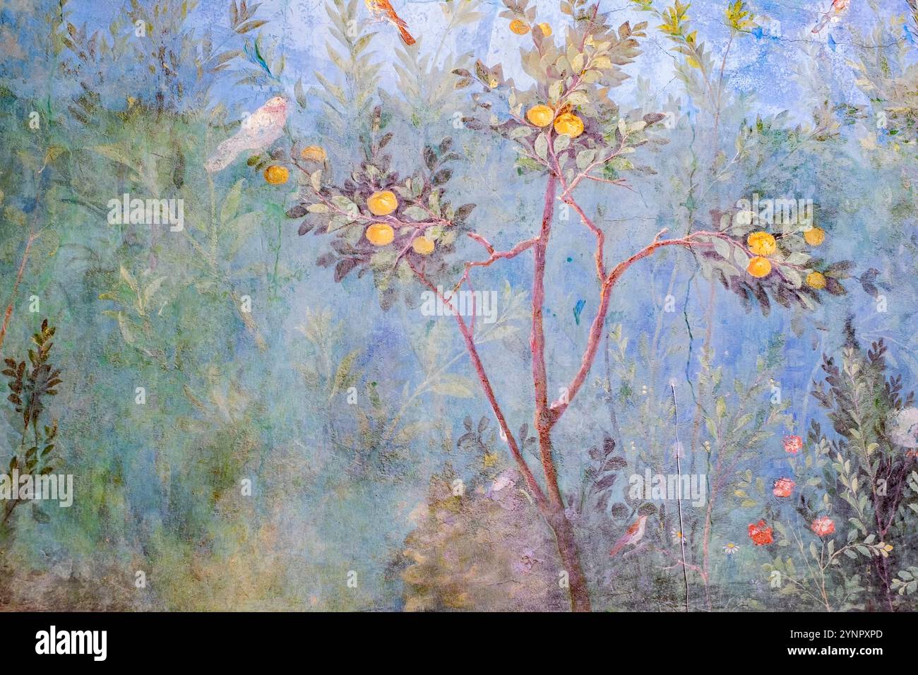 Rome. Italie. Fresque représentant des scènes d'un jardin de la Villa ...