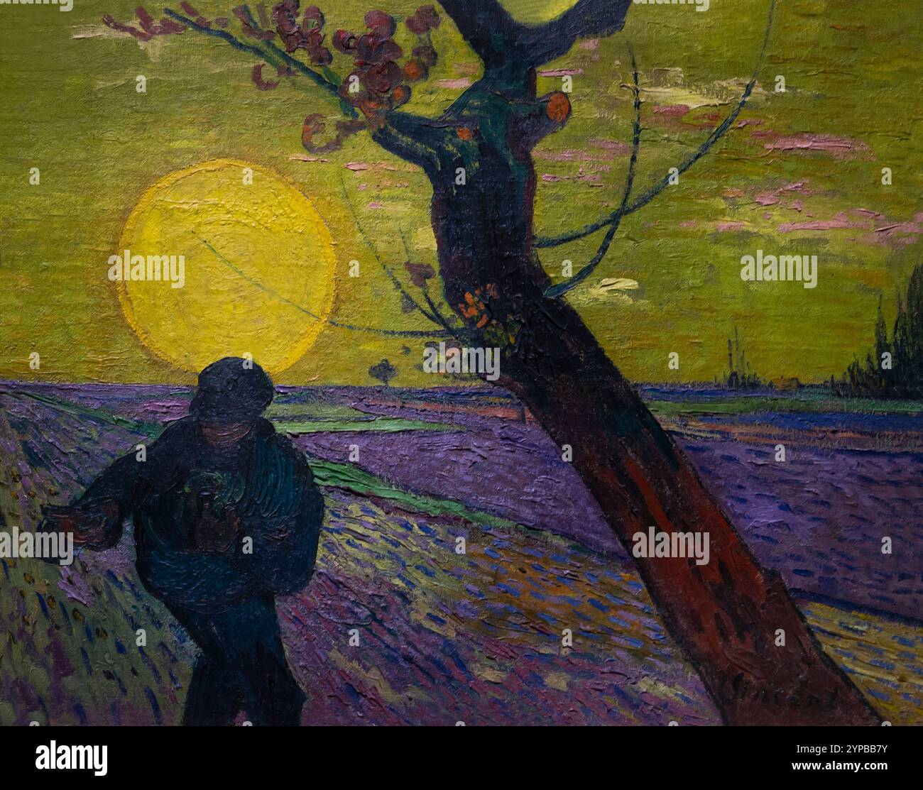 Sower van gogh Banque de photographies et d’images à haute résolution ...