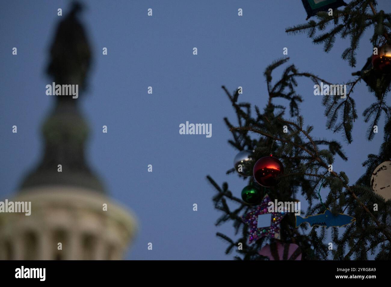 Cérémonie d'éclairage du sapin de Noël du Capitole 2024 sur la pelouse ...