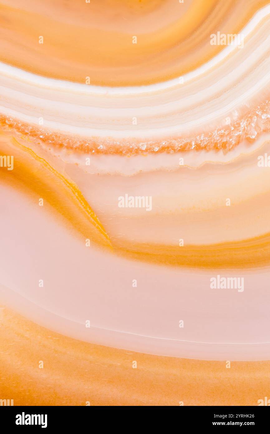 Gros plan d'une tranche d'agate brésilienne avec des tourbillons et des ...