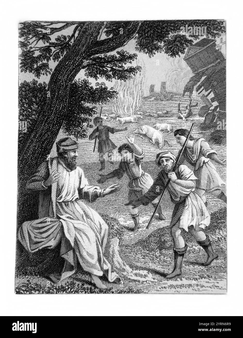 Flocks of sheep Banque d'images détourées - Alamy