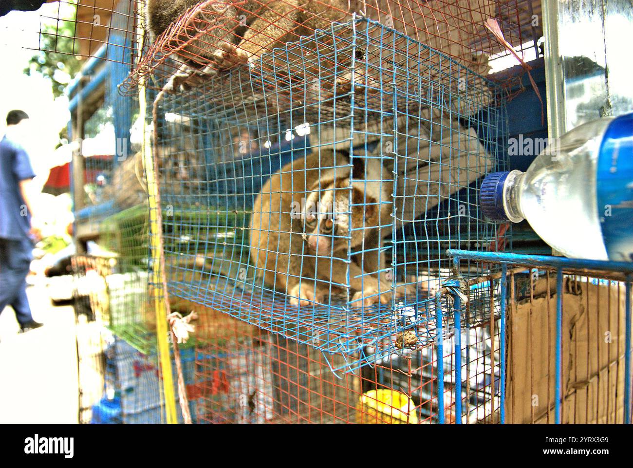 Marché des animaux Banque de photographies et d’images à haute ...