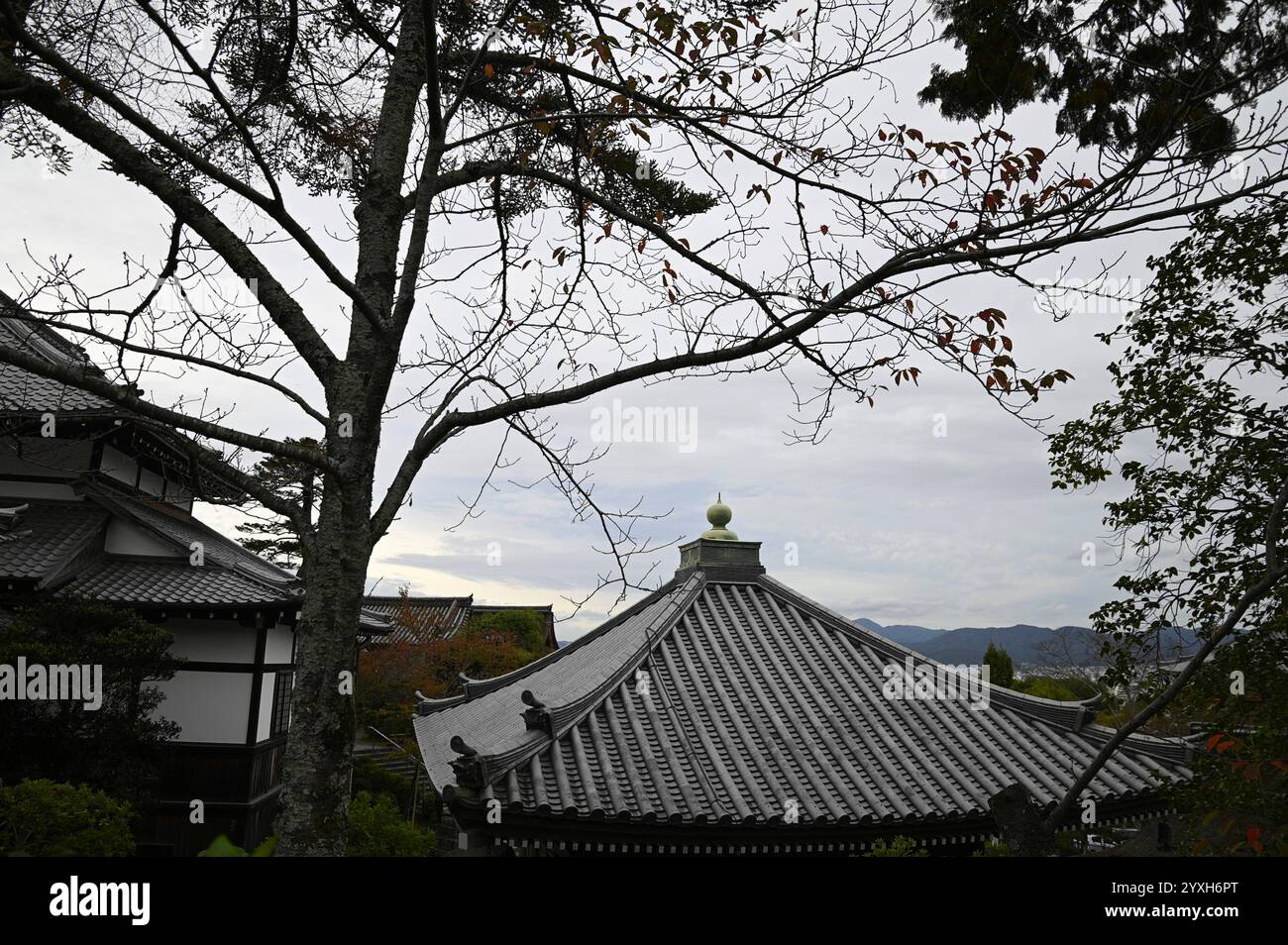 Toits de Kirizuma avec d'exquises sculptures japonaises en bois Zelkova ...