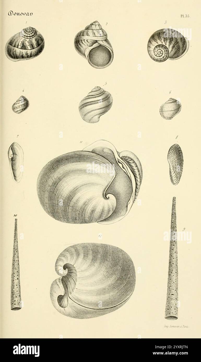 Bibliothèque, conchyliologique, Paris, A. Franck, 1845-1846 ...