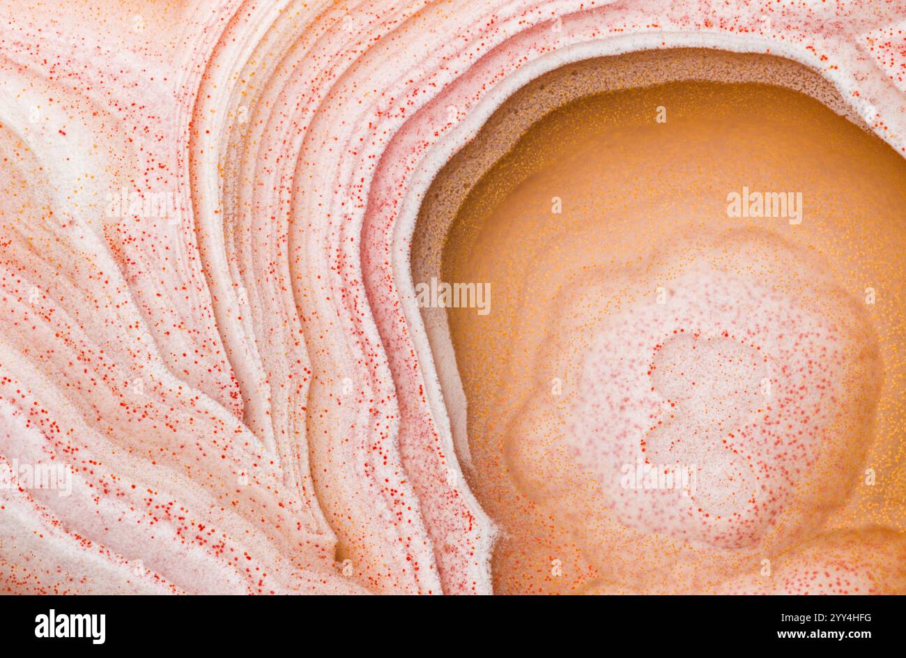 Gros plan d'une agate Laguna coupée et polie du Mexique, présentant ses ...