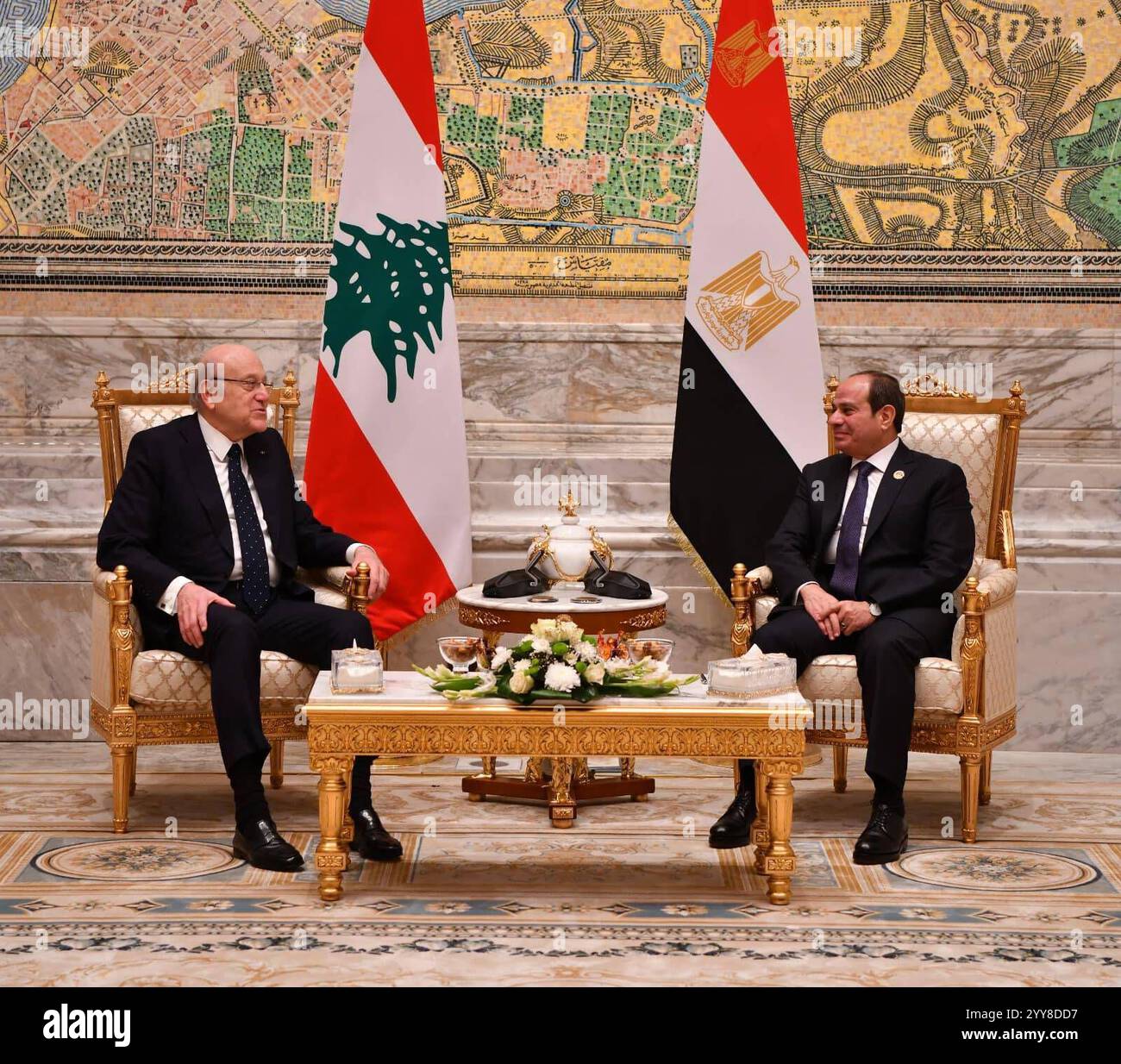 Le président égyptien Abdel Fattah el-Sissi rencontre le premier ...