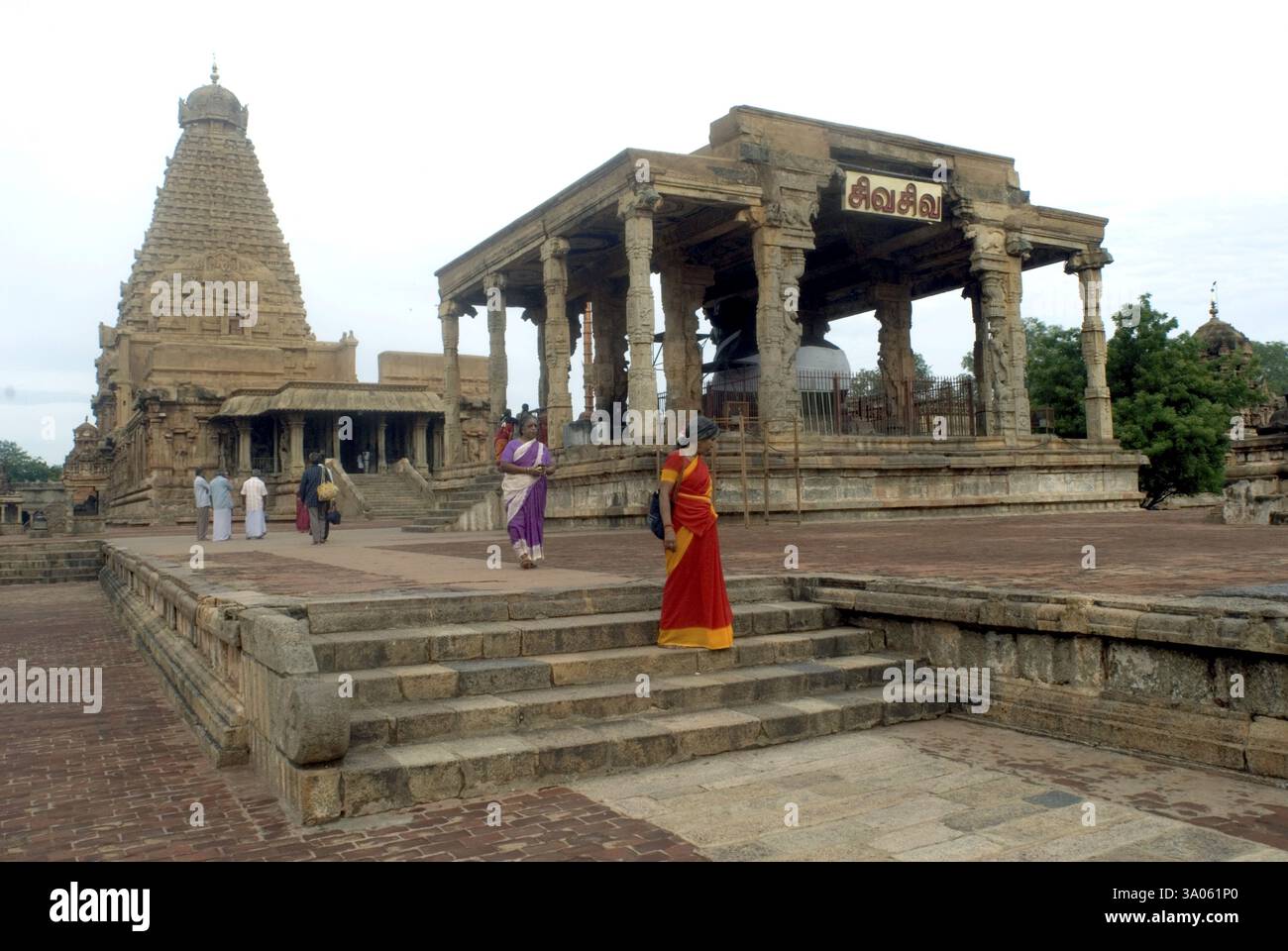 Dévots debout sur les escaliers du temple Brihadeshwara également appelé Grand Temple construit ...