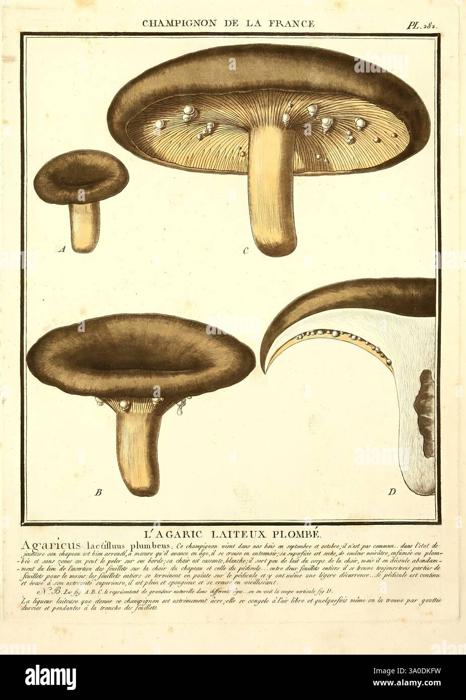 Herbier de la France, Paris, chez l'auteur, Didot, Debure, Belin, 1780 ...