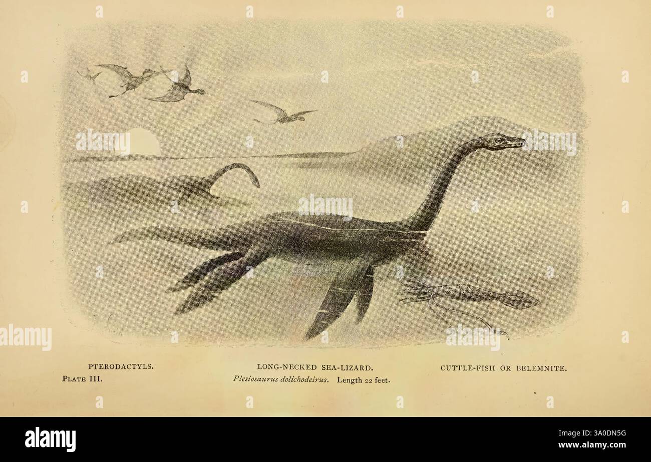 Monstres éteints, Londres, Chapman & Hall, 1896, plésiosaurus, loch ...
