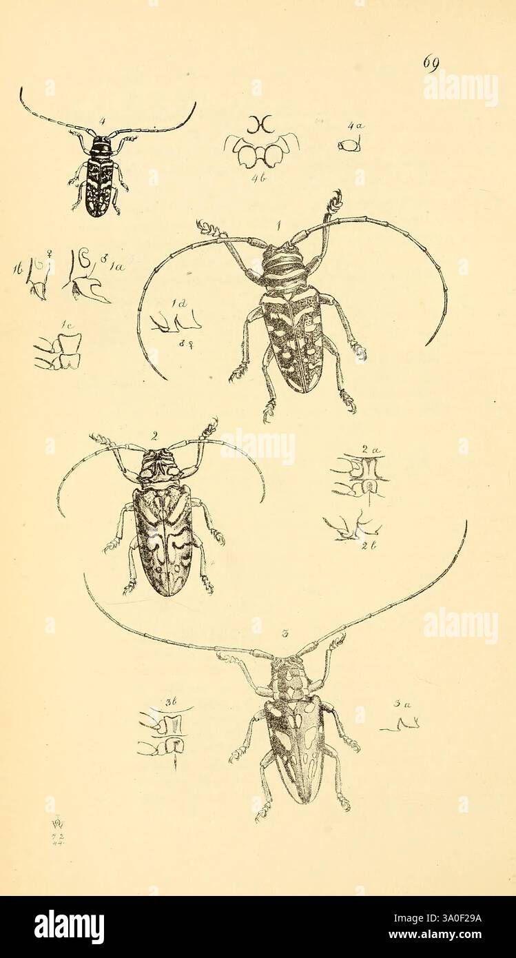 Arcana entomologica, ou illustrations de nouveaux insectes rares et ...