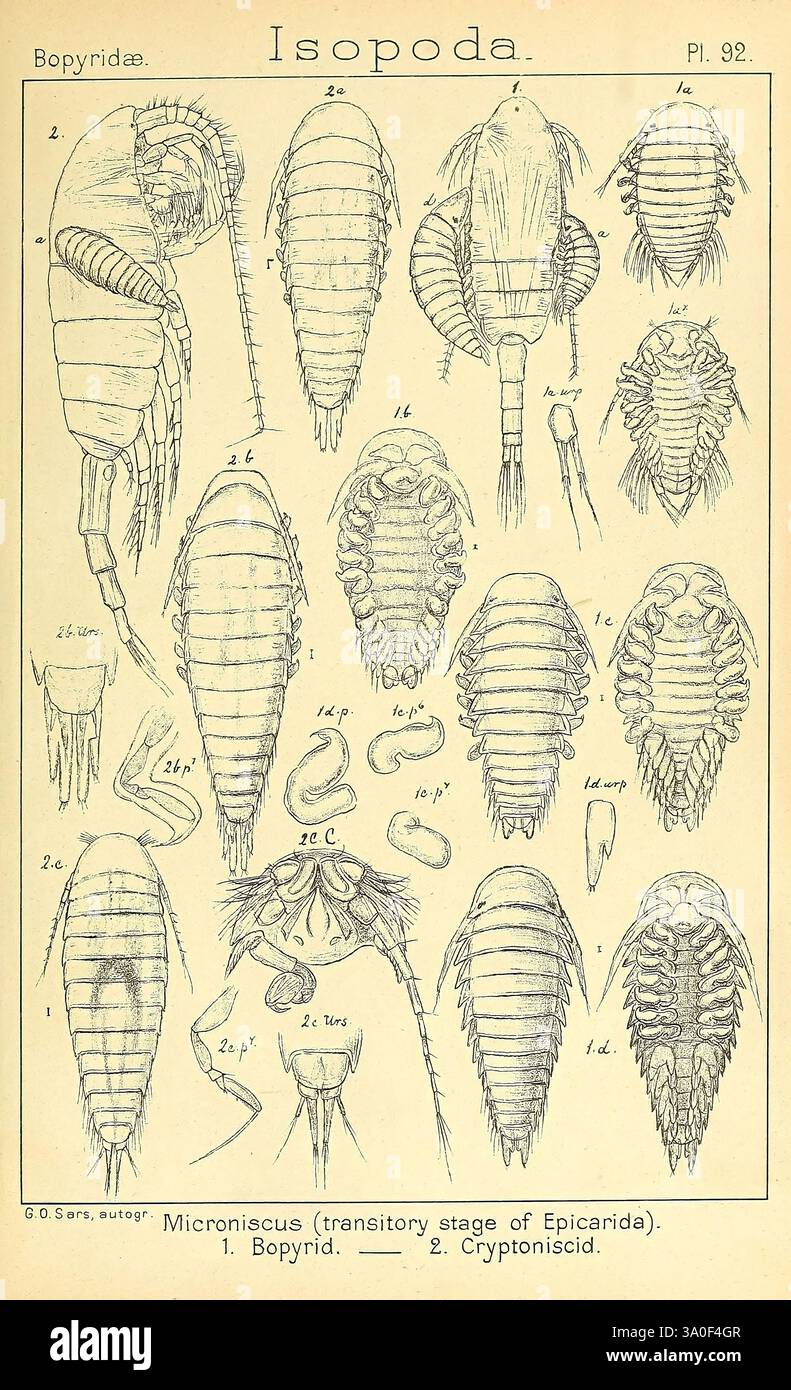 Un récit des crustacés de Norvège Christiania, A. Cammermeyer, 1895 ...