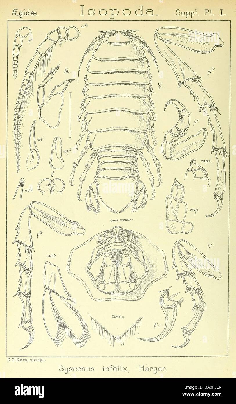 Un récit des crustacés de Norvège, Christiania, A. Cammermeyer, 1895 ...