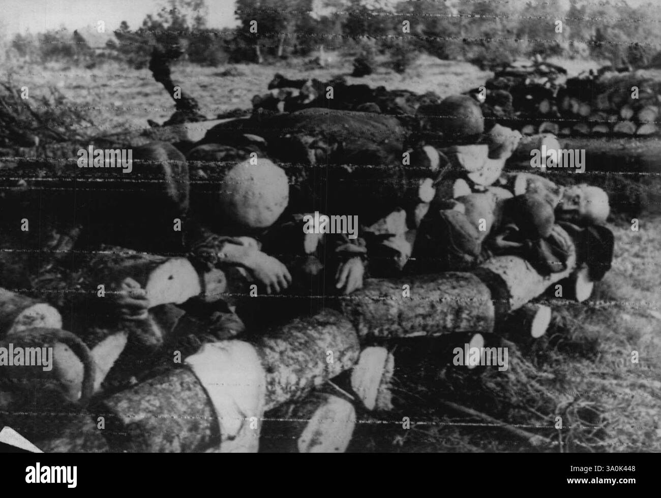 Atrocités nazies en Esthonie : camp de la mort, colonie de Klooga ...