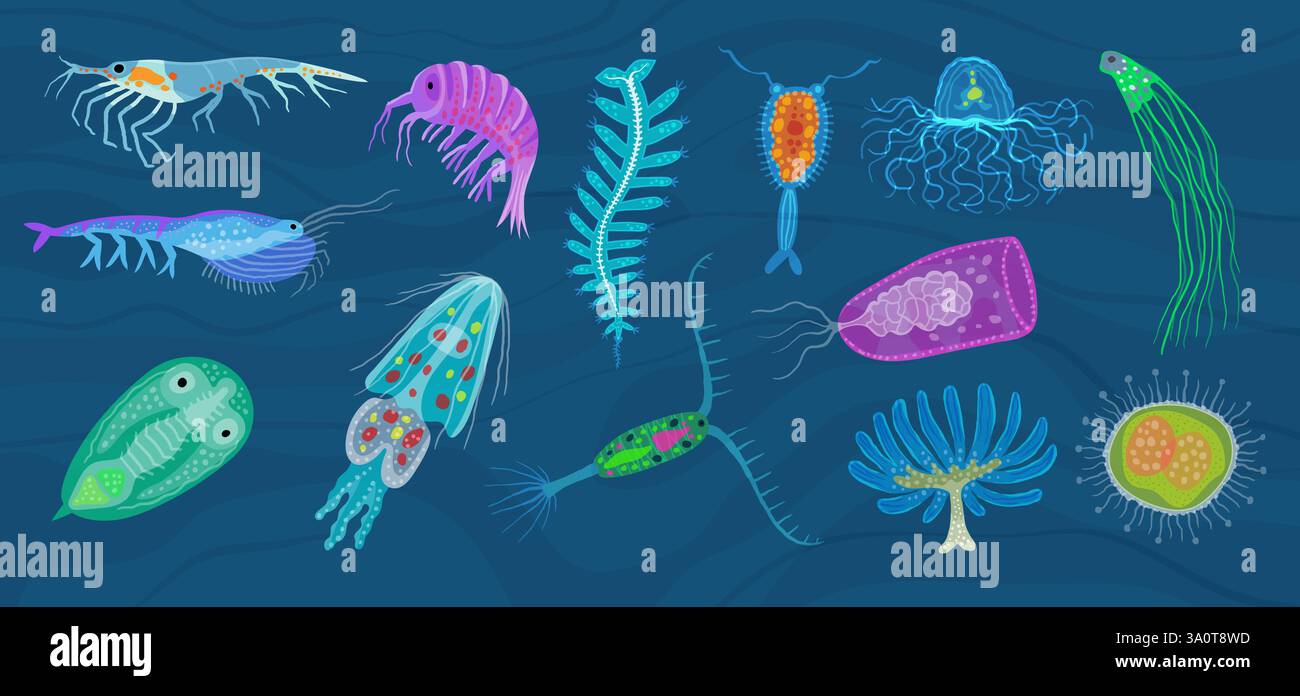 Plancton. Sous-marin vie océanique différents micro-organismes récents ...