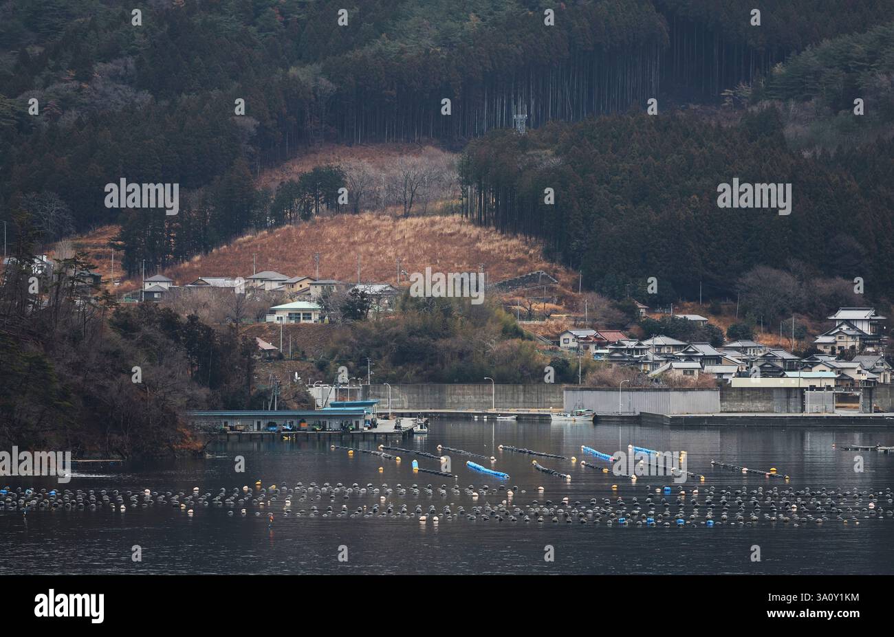 A photo shows townscape in Ofunato City, Iwate Prefecture, northern ...
