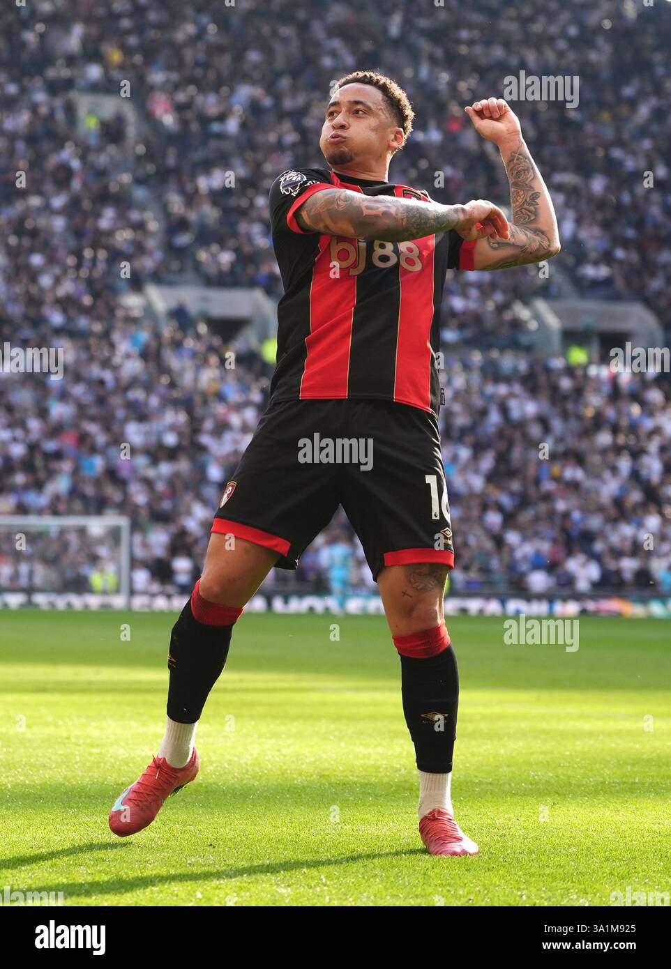 Marcus Tavernier de Bournemouth célèbre avoir marqué le premier but de ...