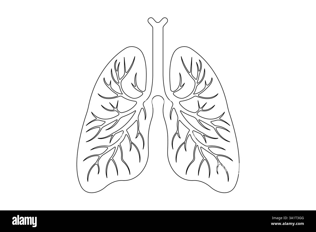 Illustration vectorielle de dessin continu d'une ligne des poumons ...