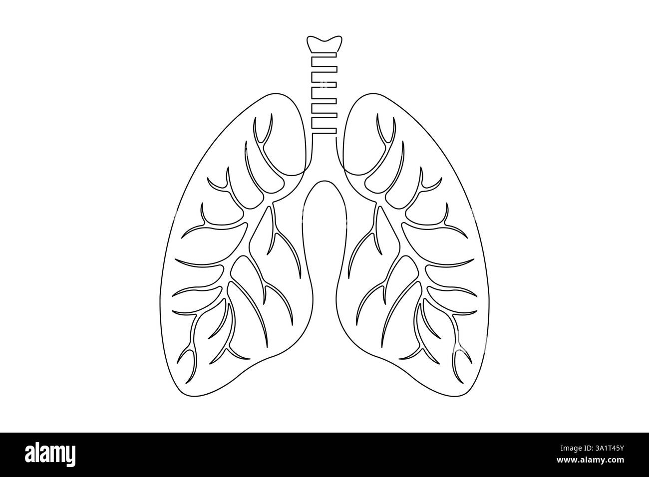 Illustration vectorielle de dessin continu d'une ligne des poumons ...