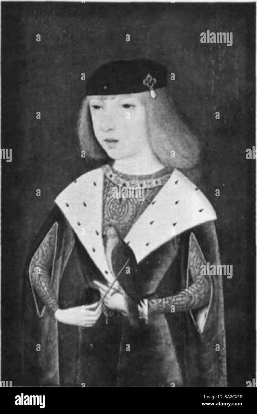 Cette œuvre de Scorel et Coeck van Aelst met en lumière la ...