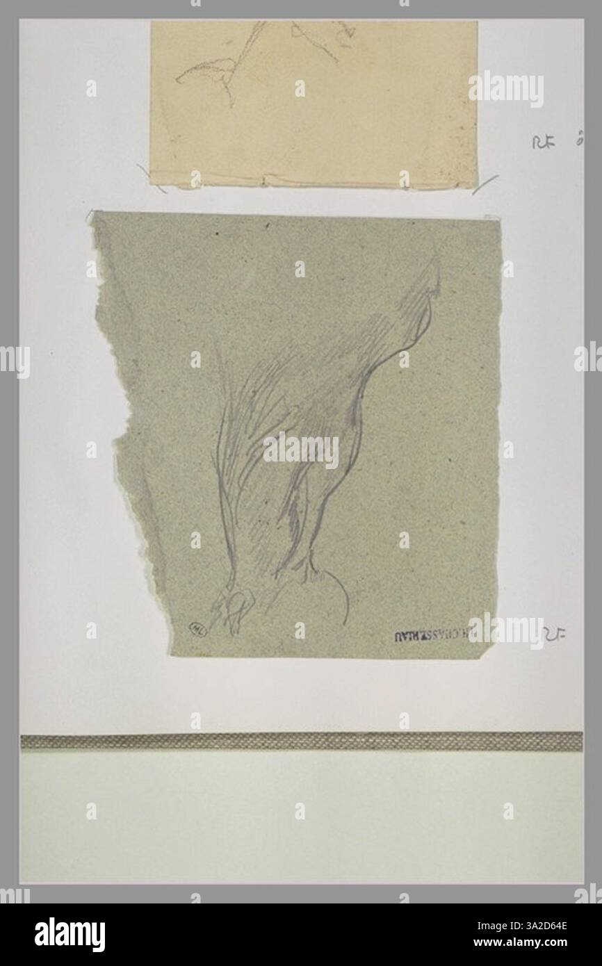 Ce dessin se concentre sur la jambe d'un cheval, soulignant l'anatomie ...