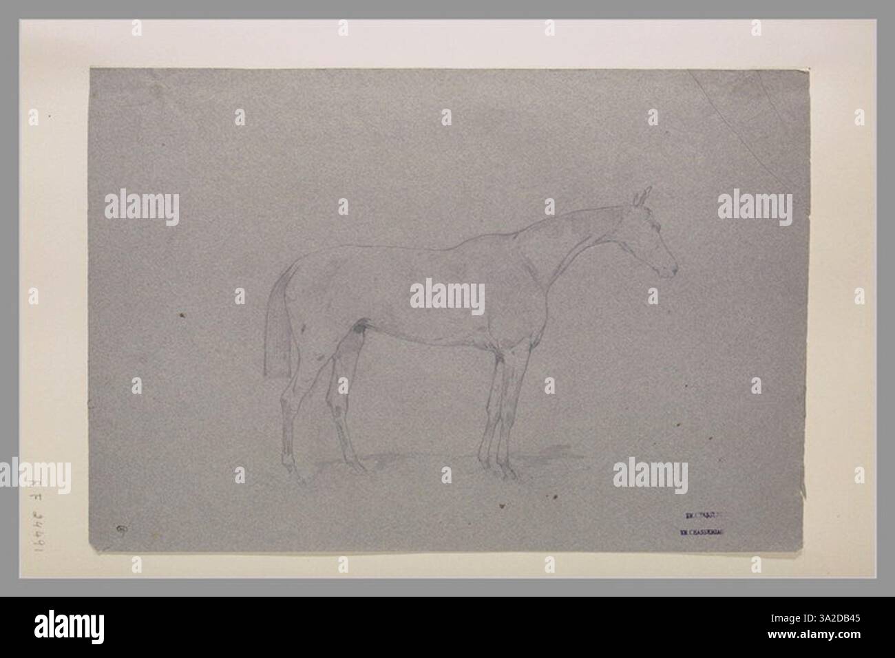 Dans cette pièce, Chassériau représente un cheval tourné vers la droite, en se concentrant sur ...