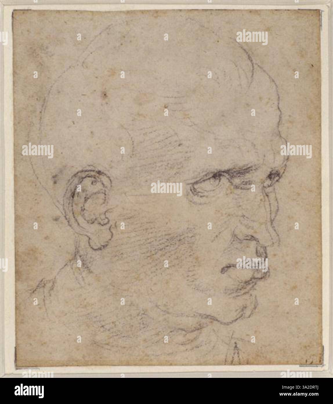 Ce dessin, attribué à Raphaël, présente la tête d’un homme en vue de ...